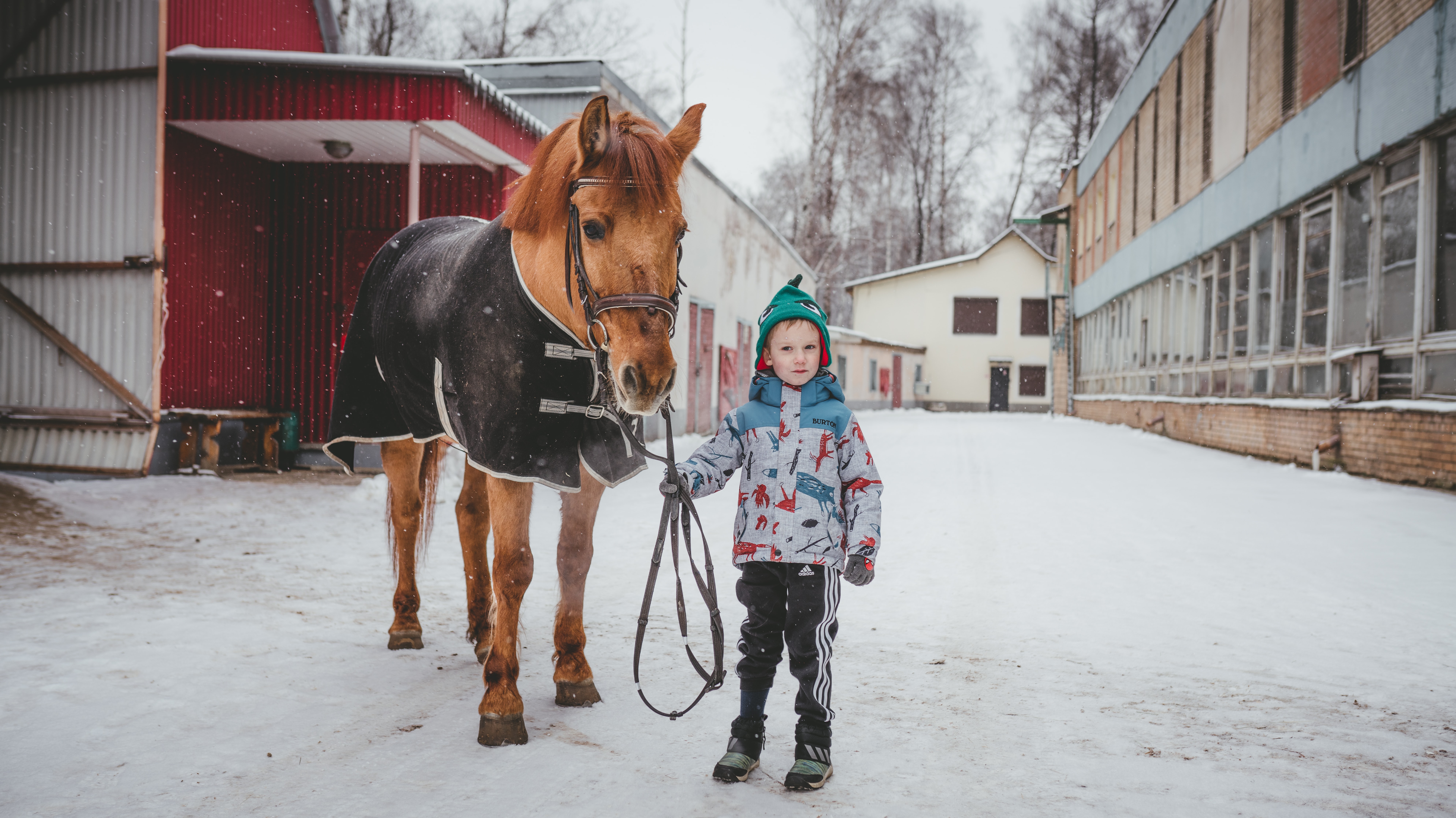 What Is Hippotherapy? Here's What You Need To Know