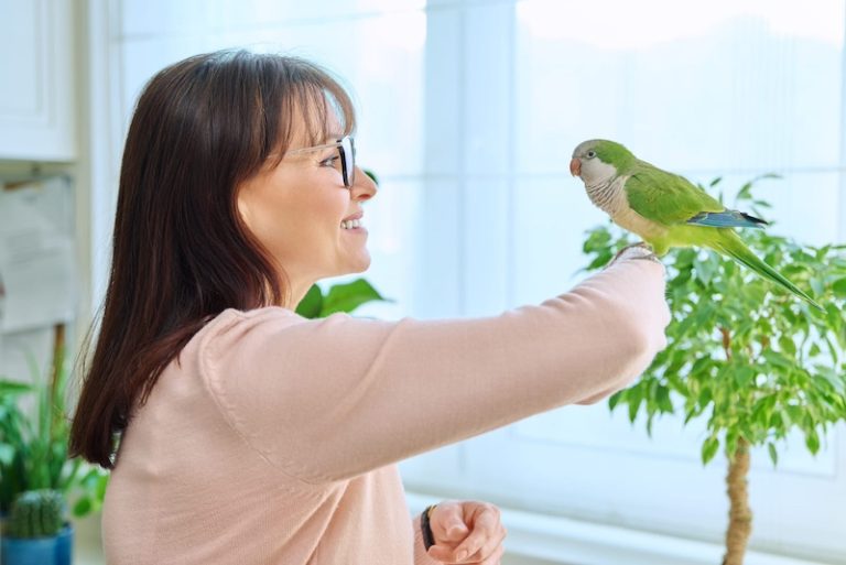 10 Reasons Birds Make Great Pets