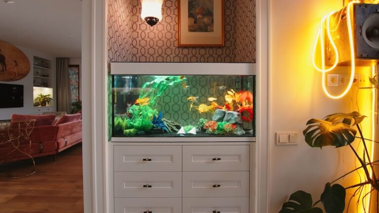 10 Tips for Preventing Fish Tank Odors