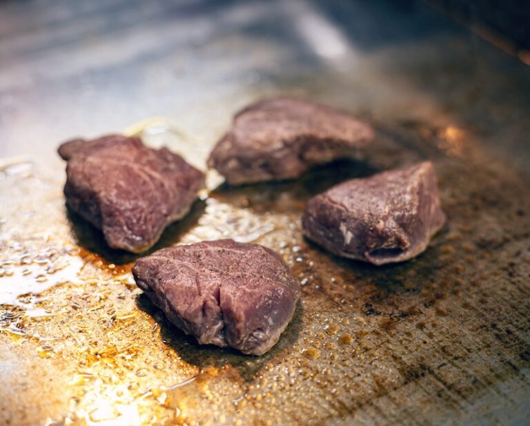 10 Interesting Facts About Dogs' Taste Buds